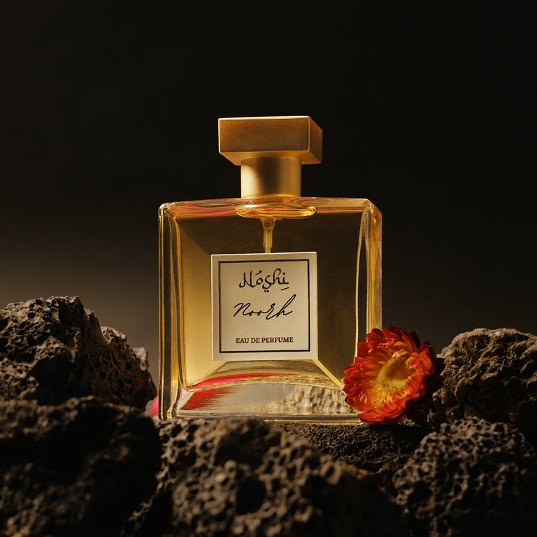 Buy Noorh Perfume Oil Online – Luxury Vanilla Scent | Noshi